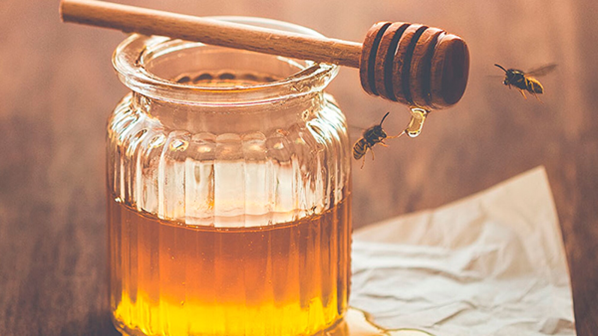 Remedio casero de ajo con limón y miel: descubre sus beneficios y ...